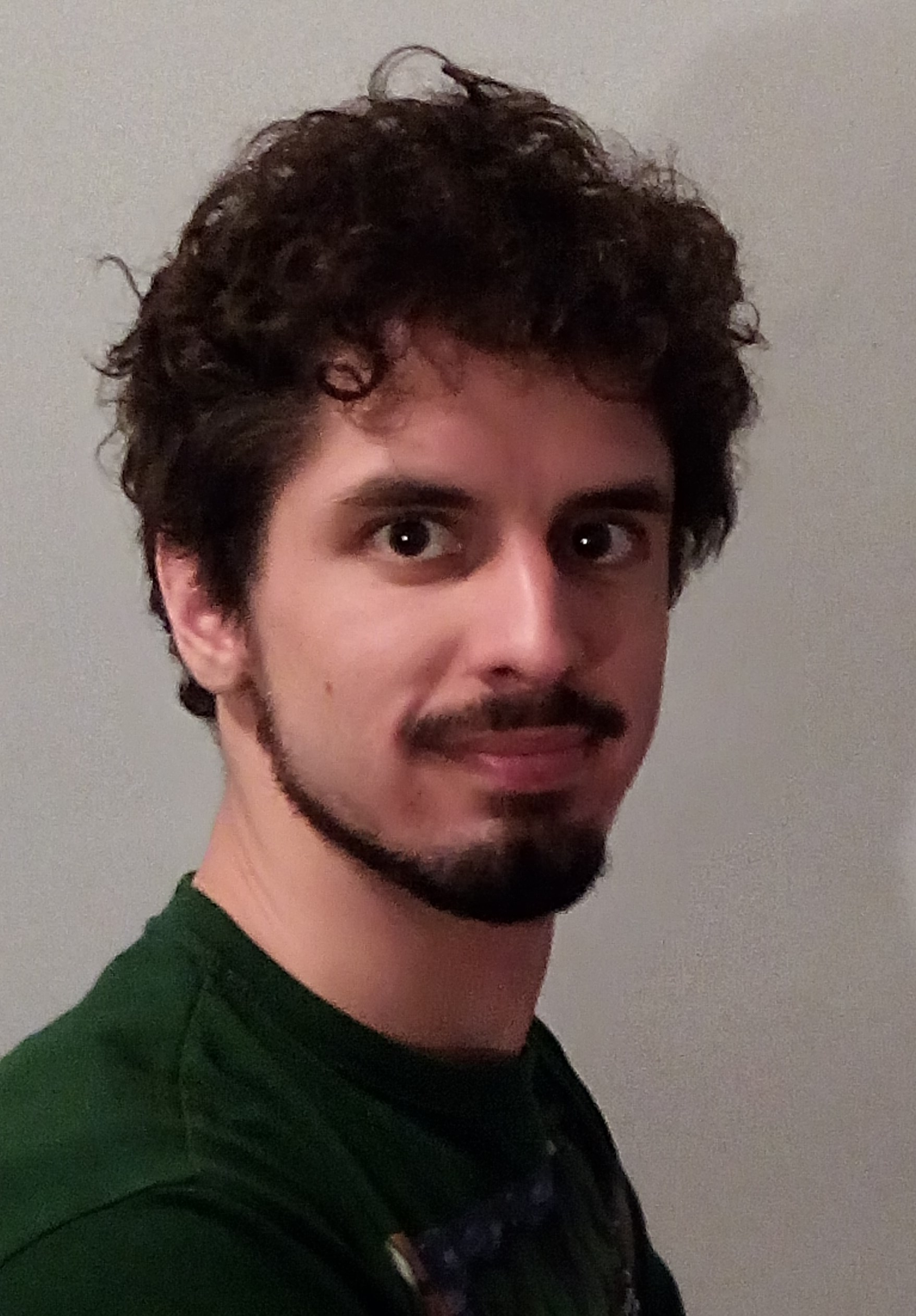 Dematteis Giovanni | CMST